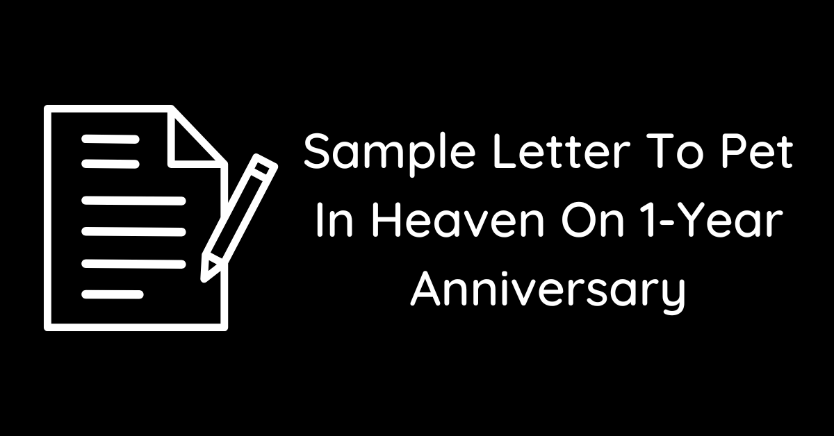 Sample Letter To Pet In Heaven On 1 Year Anniversary